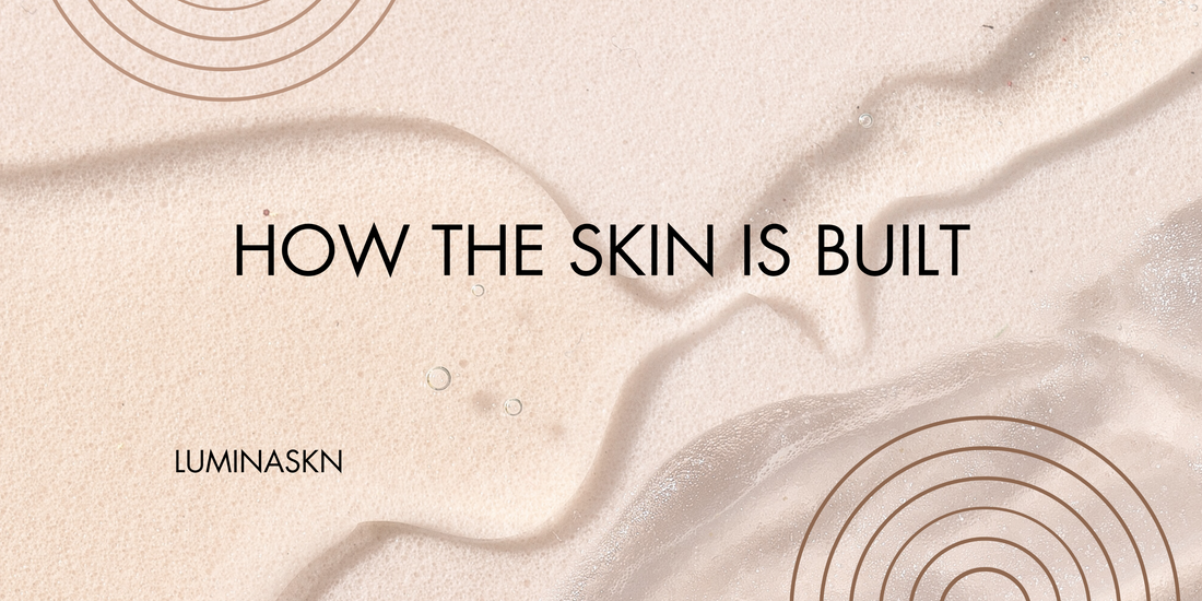 How the Skin is Built – Lumìnaskn